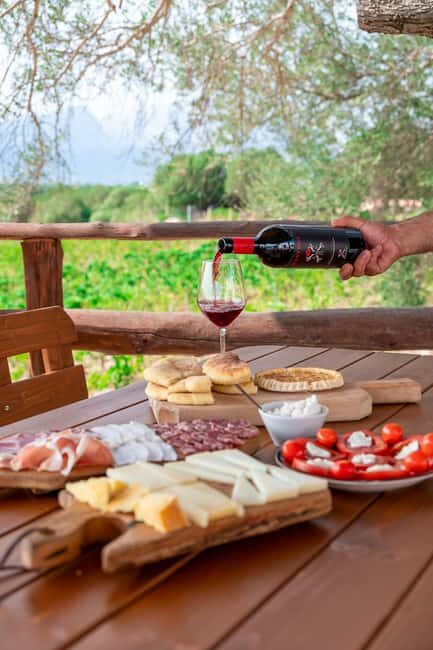 Wine experience in Dorgali in the heart of the Cannonau Classic Zone - The Value of the Experience