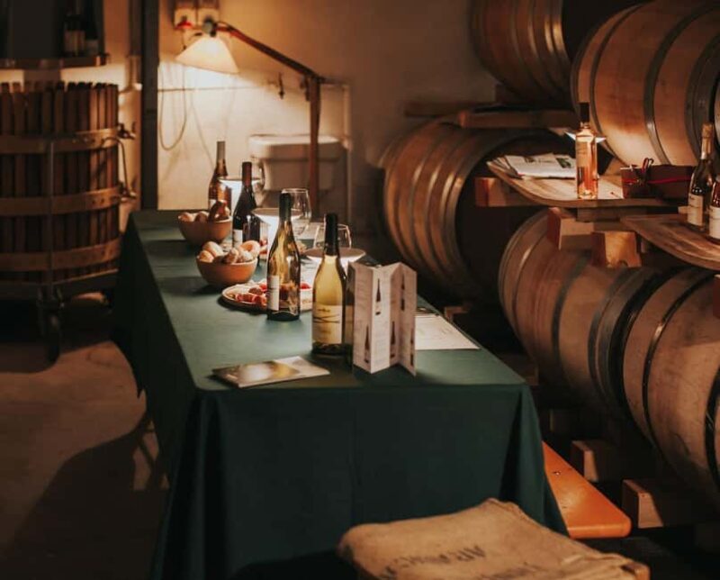 WINE EXPERIENCE - Le Vie Angarano winery - Key Points