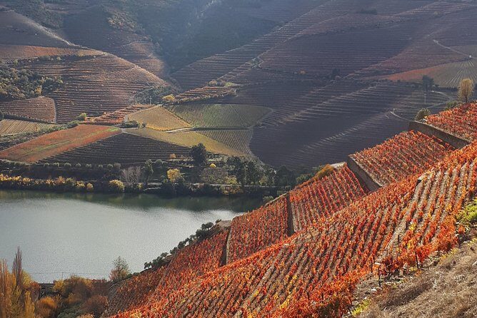 Wine experience with a sommelier - The Value and Overall Impression