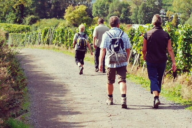 Wine Hiking Sip & Trek - Key Points
