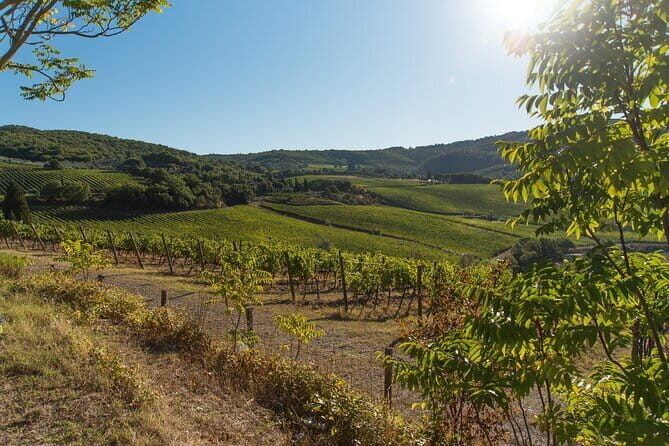 Wine Hiking Sip & Trek - The Full Experience: An In-Depth Look