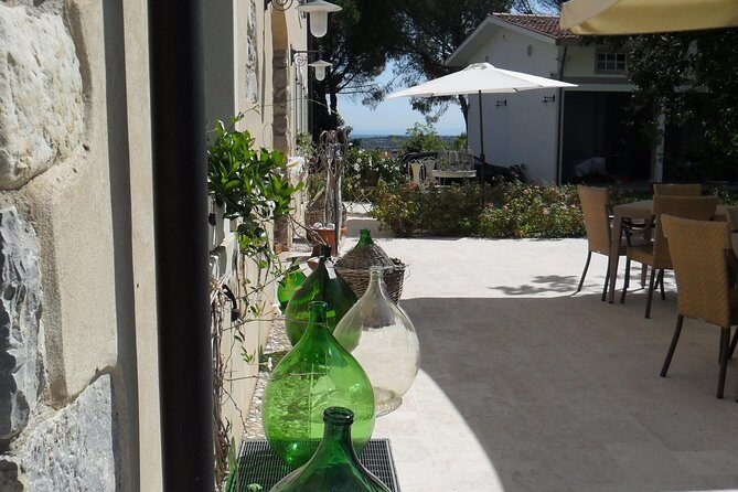 Wine is bottled poetry ,that's why I love Prosecco !! private Tour - Who Should Consider This Tour?