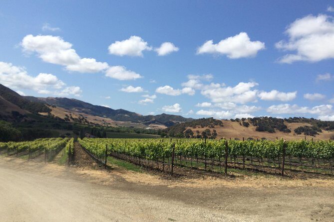 Wine Lovers Tour from Santa Barbara Area - A Fine Choice for Wine Enthusiasts: Santa Barbara’s Wine Lovers Tour