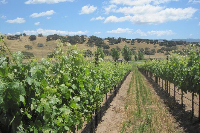 Wine Lovers Tour from Santa Barbara Area - Discovering the Santa Ynez Valley: A Scenic and Tasty Journey
