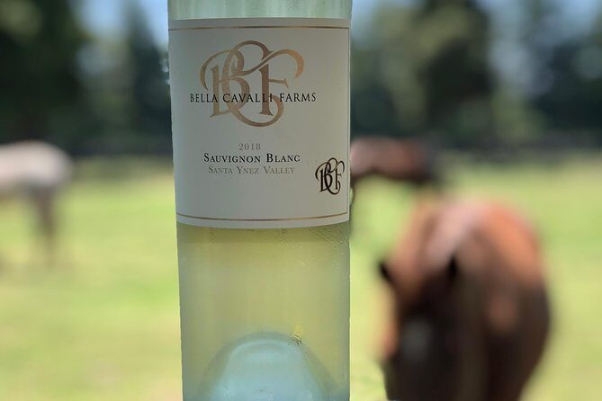 Wine Lovers Tour from Santa Barbara Area - Lunch and Amenities