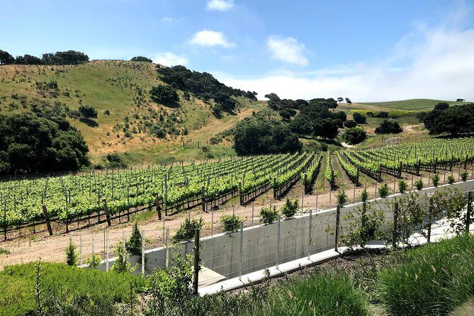 Wine Lovers Tour from Santa Barbara Area - Analyzing the True Value
