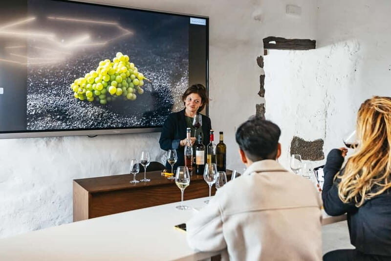Wine Lovers: Wine Tasting Tour at El Grifo Bodega Lanzarote - An In-depth Look at the El Grifo Bodega Tour