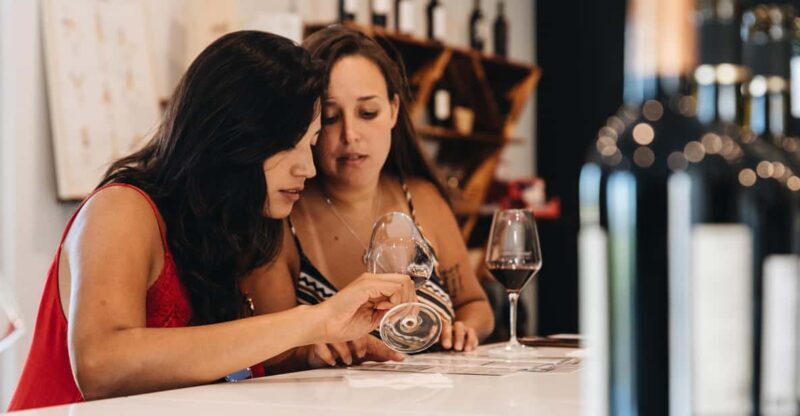 Wine Masterclass & Cheese Tasting Workshop in Bordeaux - Why It Works Well for Different Travelers