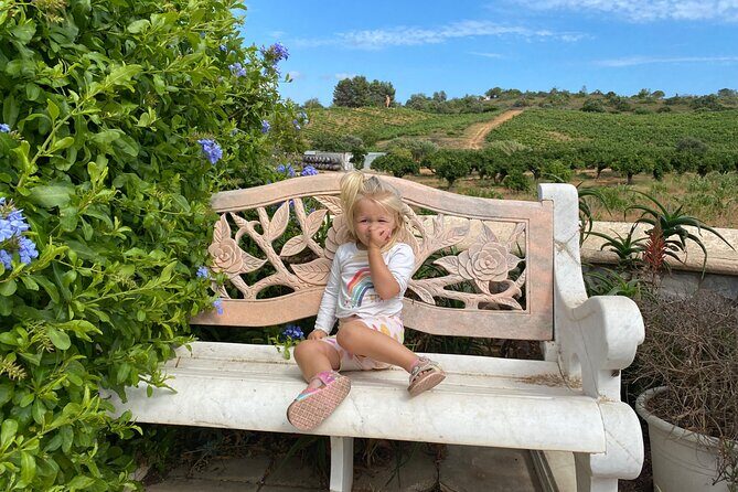 Wine Not Algarve Winery Tour - Unpacking the Value
