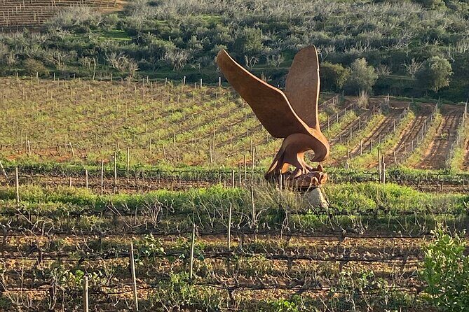 Wine Not Algarve Winery Tour - Final Thoughts