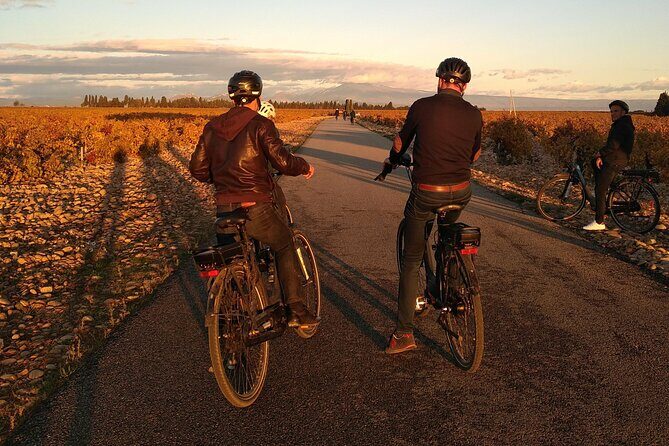 Wine of the Luberon by e-bike... Not to be missed ! - Key Points: