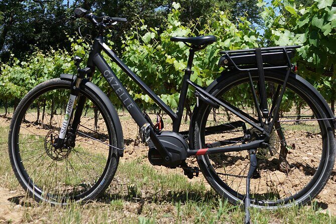 Wine of the Luberon by e-bike... Not to be missed ! - An exciting way to explore Provence without rushing