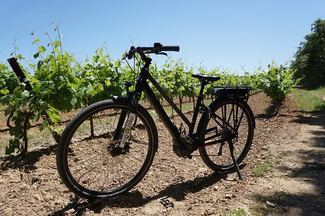 Wine of the Luberon by e-bike... Not to be missed ! - Final thoughts: Who should consider this tour?