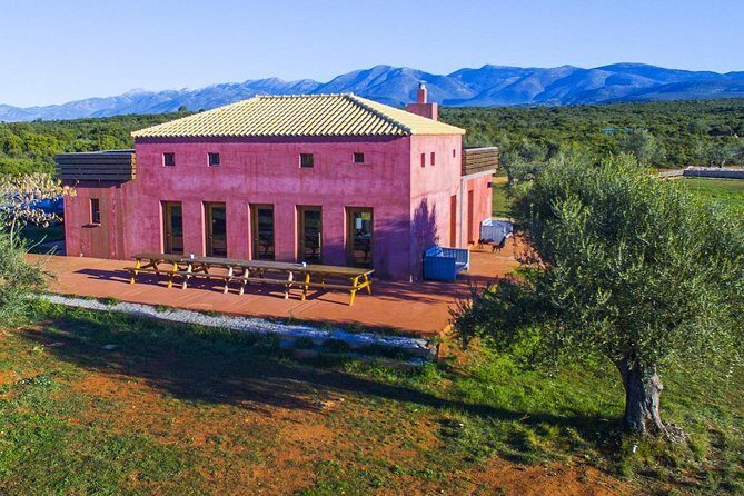 WIne & Olive Oil Tasting in an Organic Farm in Laconia, Greece! - The Olive Oil Experience