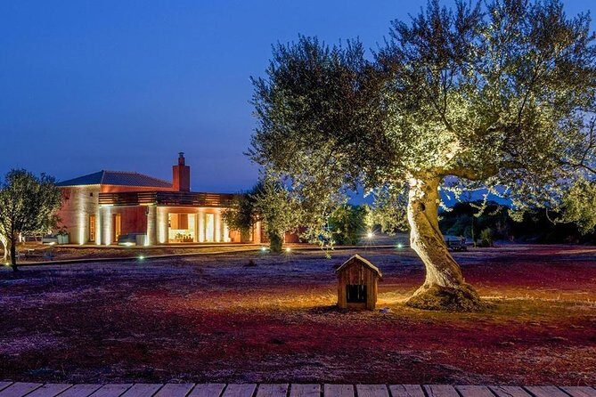 WIne & Olive Oil Tasting in an Organic Farm in Laconia, Greece! - The Food and Setting