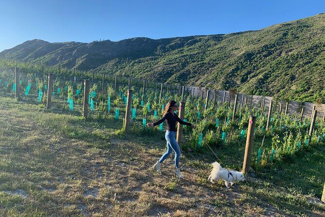 WINE on WAIHEKE, PREMIUM TASINGS and SCENIC TOUR, MAX 11 CLIENTS - Final Thoughts