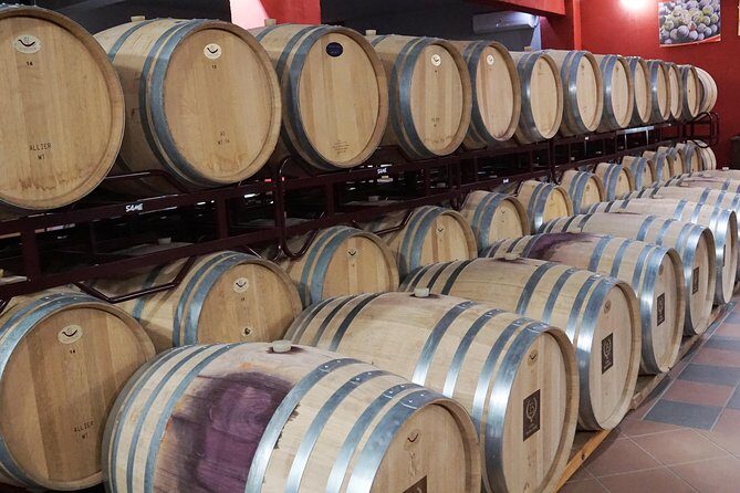 Wine Roads Private Day Tour: Corinth - Ancient Nemea & Wine Tasting - Frequently Asked Questions