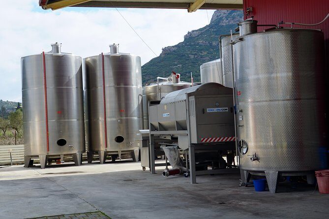 Wine Roads Private Day Tour: Corinth - Ancient Nemea & Wine Tasting - Final Thoughts