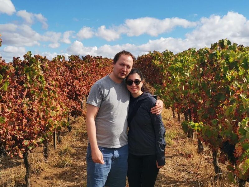 Wine , Roman Temple and Bone Chapel in half-day private tour - An Introduction to the Tour Experience