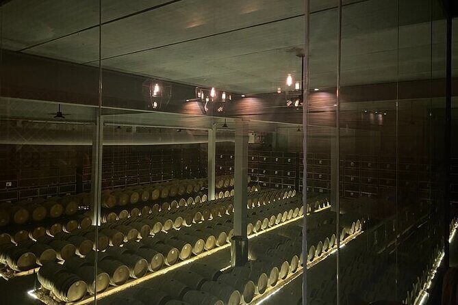 Wine Route !, Vineyards, wine tasting and pairing - Introduction: Why This Tour Can Be a Great Choice