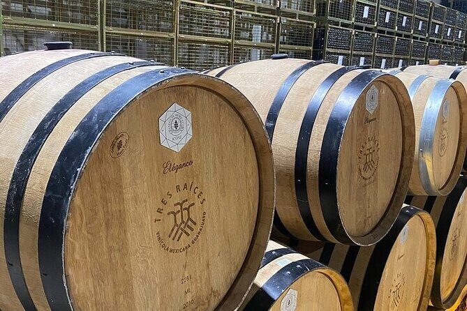 Wine Route !, Vineyards, wine tasting and pairing - Comparing the Cost to the Experience