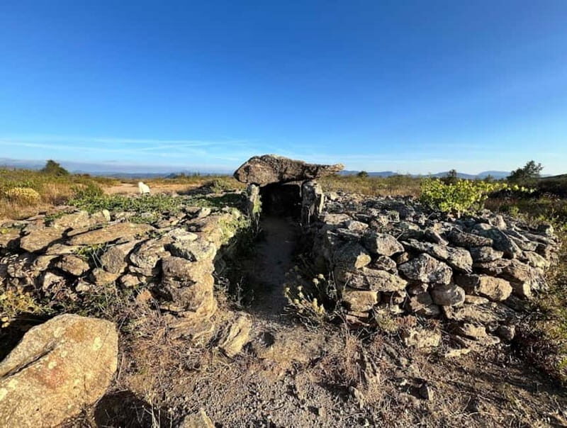 Wine safari - Key Points