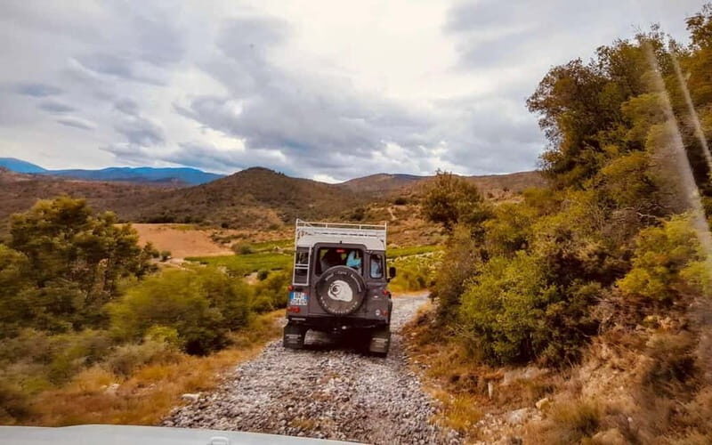 Wine safari - A Closer Look at the Wine Safari Experience