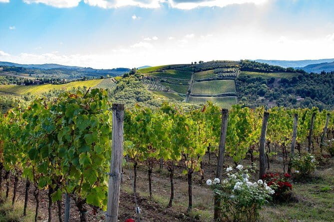 Wine Safaris: Off Road Tuscany Wine Tours and Lunch from Florence - An Authentic Slice of Tuscany: Off Road Tuscany Wine Tours and Lunch from Florence