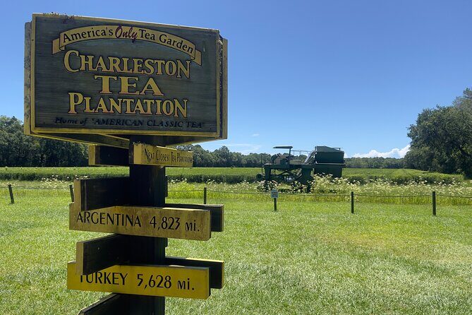 Wine Sippin'-Tea Drinkin'-Tree Huggin' Lowcountry Sightseeing - Authenticity and Customer Feedback