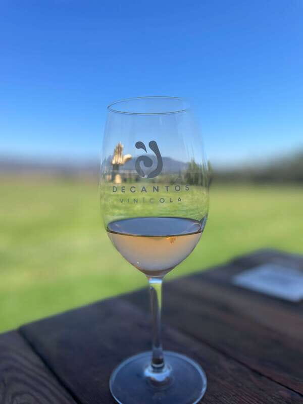 Wine & Tacos Tour at Ensenada. All inclusive! - Detailed Review