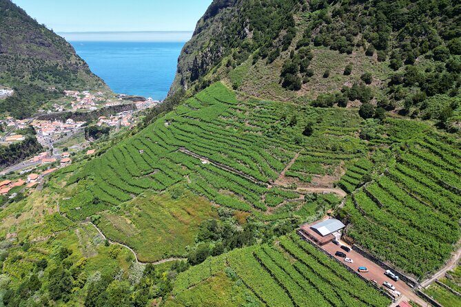Wine taste, 4x4 Jeep Adventure and Cabo Girão Skywalk - Exploring Madeira in Style: A Deep Dive into the 4x4 Jeep Adventure and Cabo Girão Skywalk