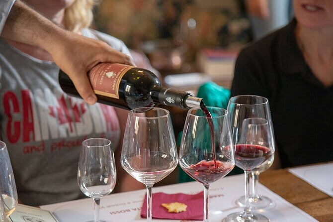 Wine Tasting Activity at Chianti Rufina - What to Expect from the Tour