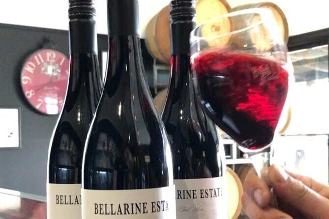 Wine Tasting and a house-made Bellarine Estate Charcuterie platter - The Experience in Detail