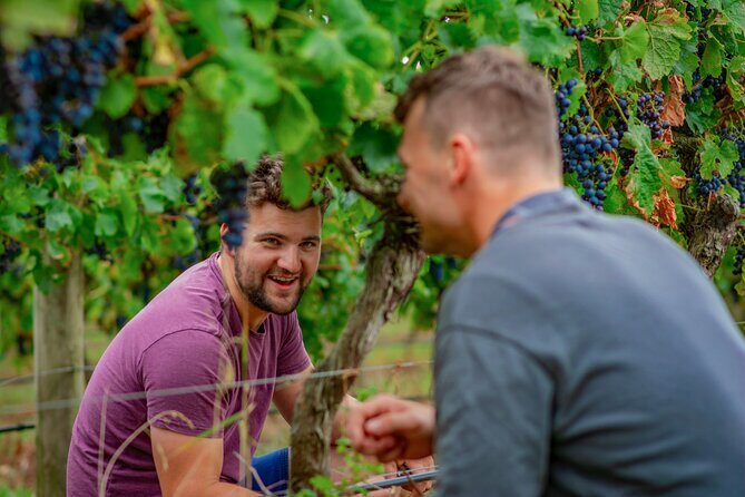 Wine Tasting and a house-made Bellarine Estate Charcuterie platter - Final Thoughts