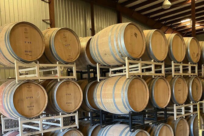 Wine Tasting And Boat Ride - A Practical Look at the Outer Banks Wine Tasting and Boat Ride