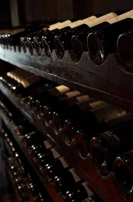 Wine Tasting and Dinner, including Sommelier - An Overview of the Experience