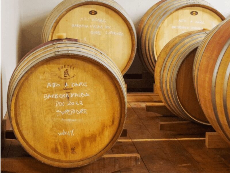 Wine Tasting and Food Pairings in Langhe and near Alba - Introduction: What makes this experience worth considering?