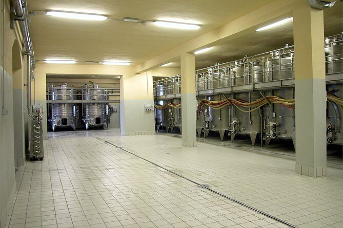 Wine tasting and guided tour of the cellar - Summary