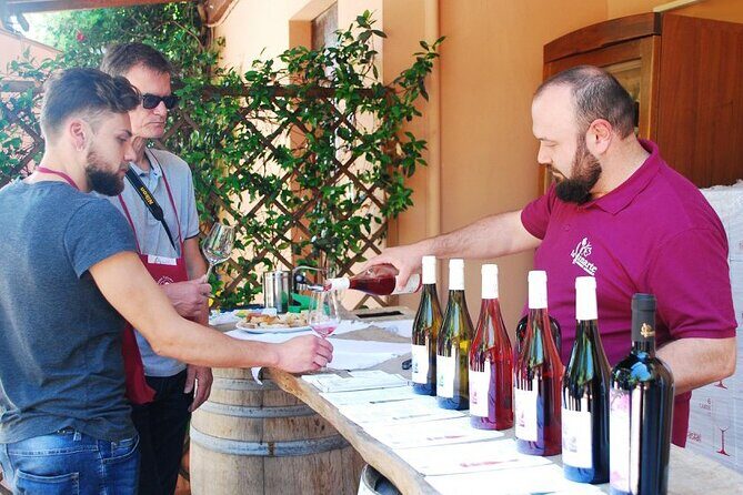 Wine Tasting and Guided Visit to the Vineyard and Cellar in S. Maria Imbaro - Key Points