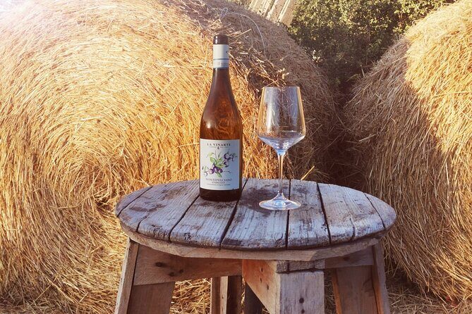 Wine Tasting and Guided Visit to the Vineyard and Cellar in S. Maria Imbaro - The Guide and the Tour Experience