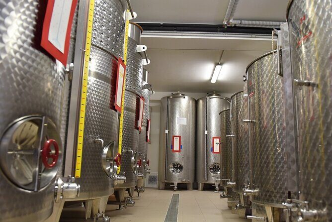 Wine Tasting and Guided Visit to the Vineyard and Cellar in S. Maria Imbaro - Who Should Consider This Tour?