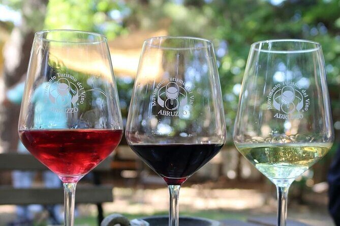 Wine Tasting and Guided Visit to the Vineyard and Cellar in S. Maria Imbaro - Frequently Asked Questions