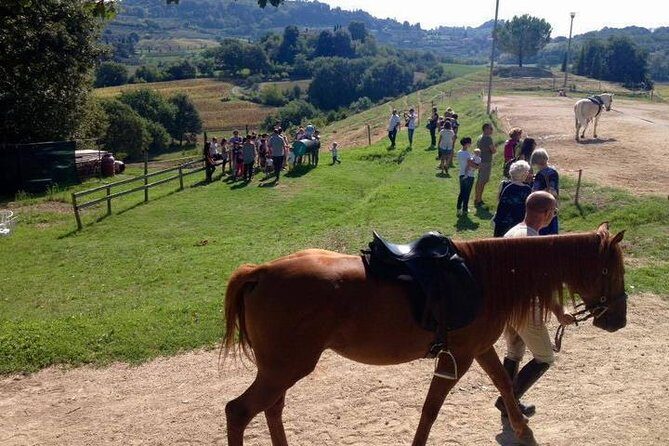 Wine tasting and horseback riding in Montepulciano, in Tuscany from Rome - An Authentic Taste of Tuscany: Horseback Riding in the Tuscan Hills