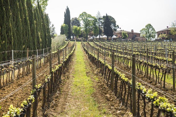 Wine tasting and horseback riding in Montepulciano, in Tuscany from Rome - Practical Tips for Participants