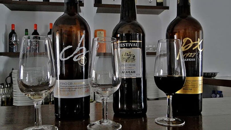 Wine Tasting and local tapas delight in Cordoba - The Wines: A Closer Look