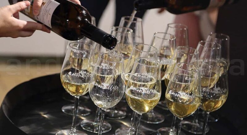 Wine Tasting and local tapas delight in Cordoba - Who Will Truly Enjoy This Tour?