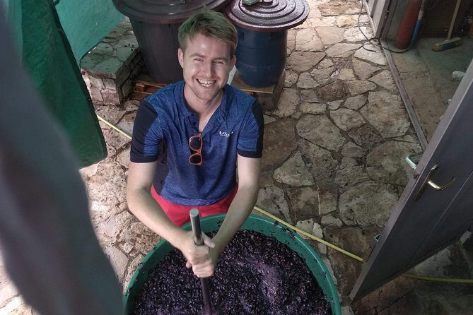 Wine tasting and magical tour from Kotor, Budva, Tivat (Lovcen,Skadar lake) - Practical Details and Considerations
