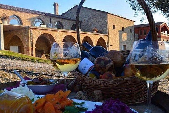Wine tasting and Olive Oil in Tirana Surroundings - Key Points