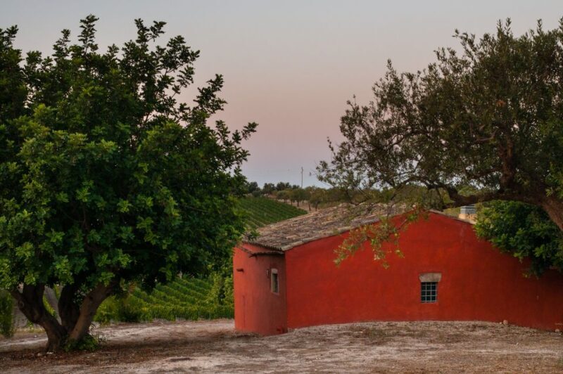 Wine Tasting and Typical Tastings in the Val di Noto - Key Points