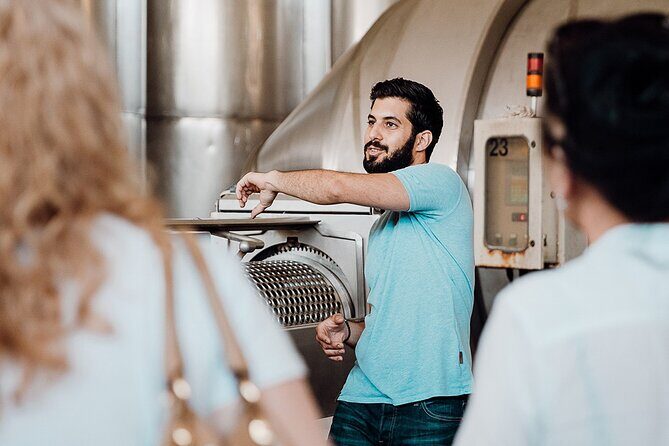 Wine tasting and winery tour at Fikardos Winery - Authentic reviews from fellow travelers